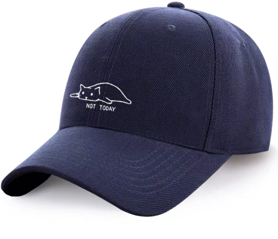 CAP - Adjustable Not Today Anti Social Caps – Cat Mama Shop